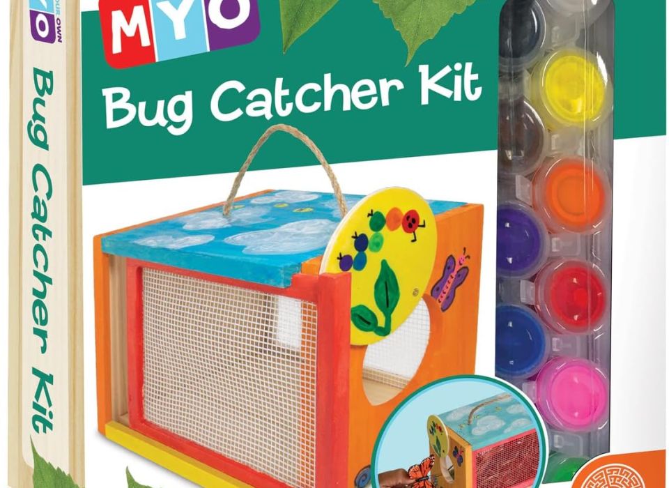 Bug Catcher Craft Kit